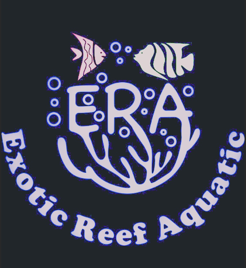 ReefnBid - Live Coral Auctions